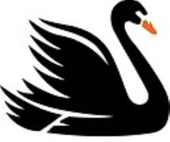 Cygnet – eweneekcrafts.co.uk